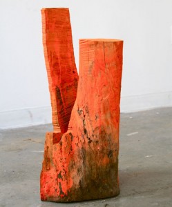 | david m sleeth